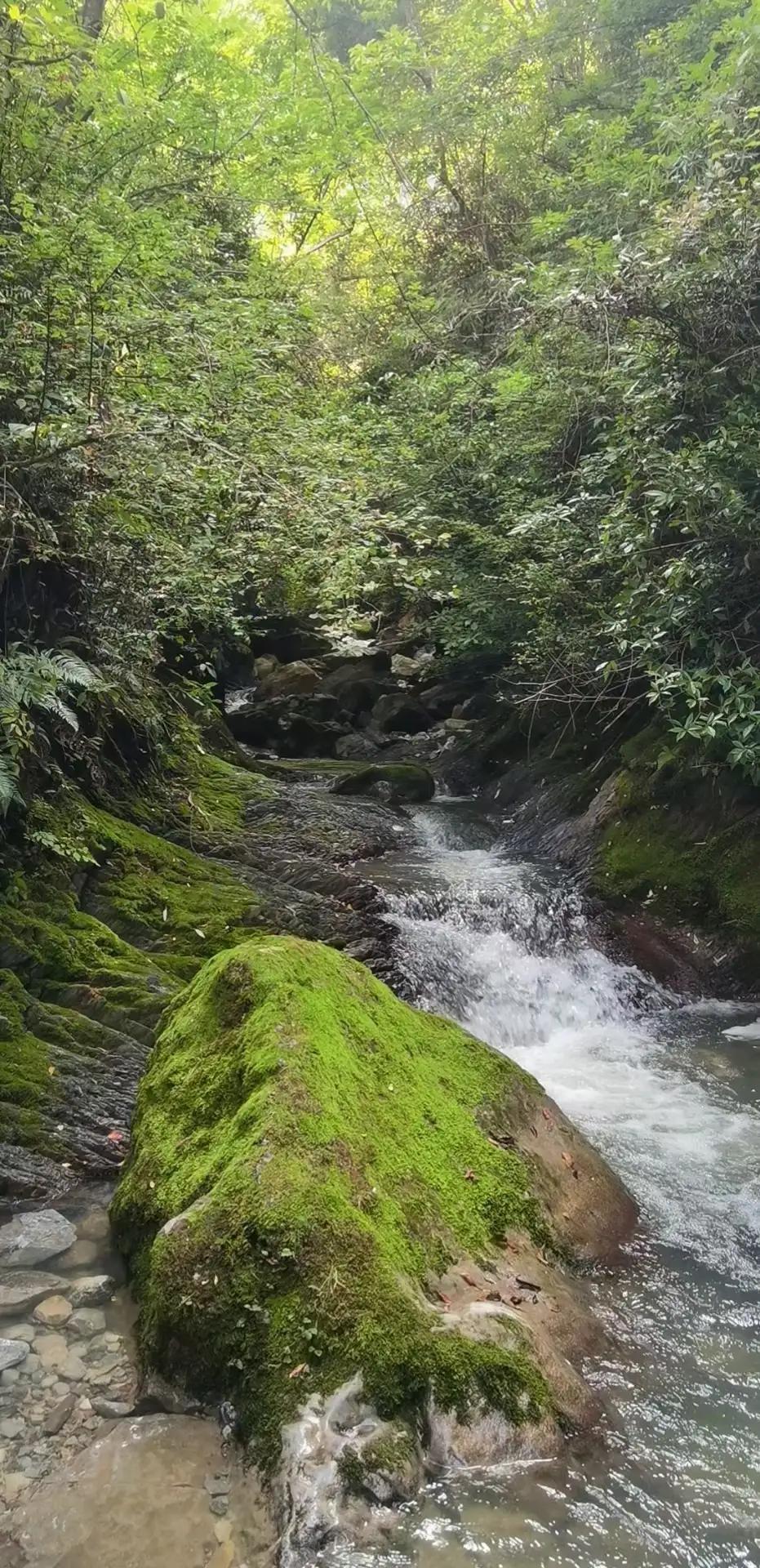 bad shackles - iNEWS