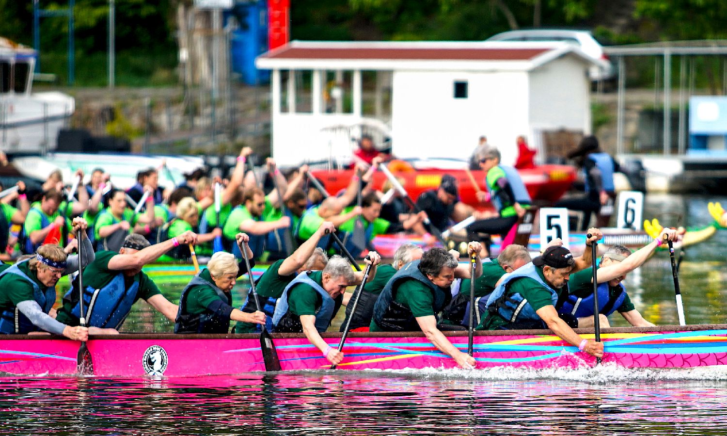 Dragon boat races for foreigners are more than just heartbeat - iNEWS