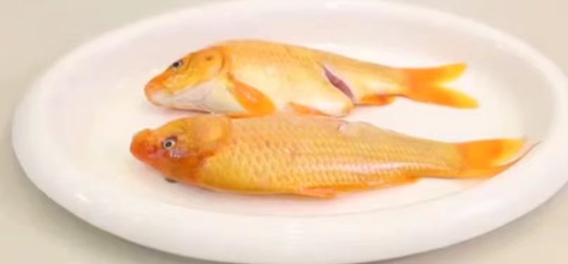 In Wenzhou, the secret of the unique cooking method of braised field ...