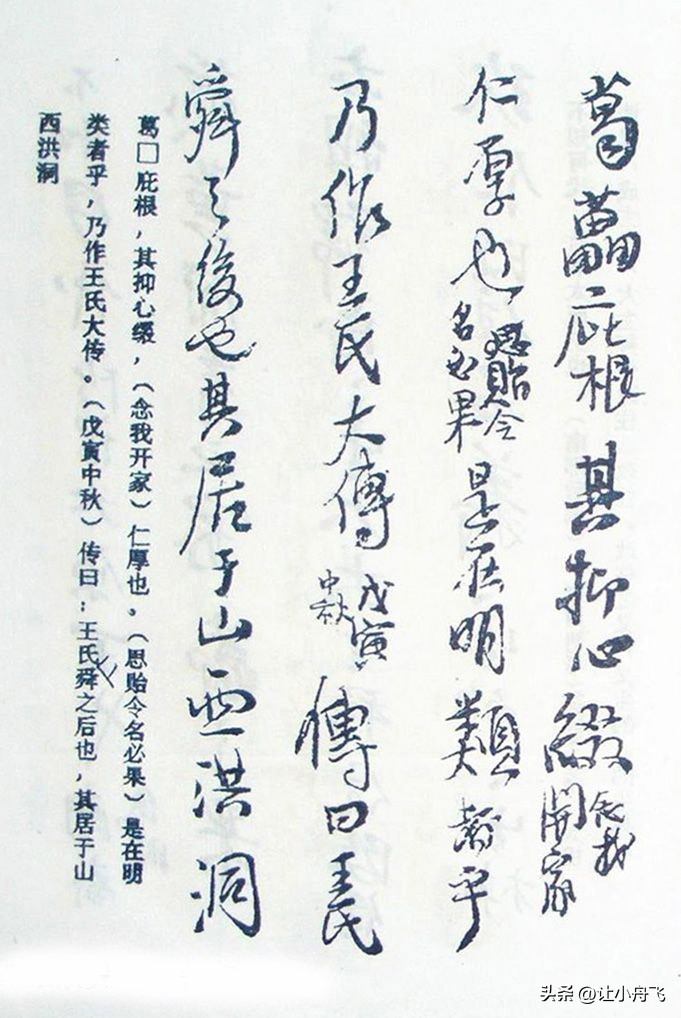 Wang Duo's book "Wang's Family Tree" - iMedia