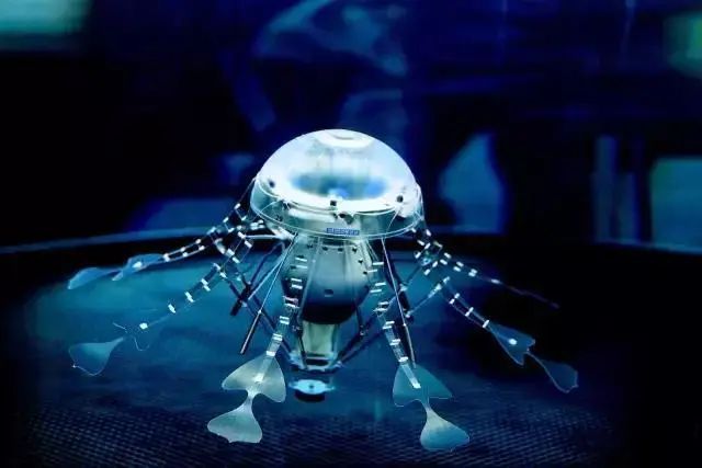Biomimicry: Innovative technology inspired by nature - iNEWS