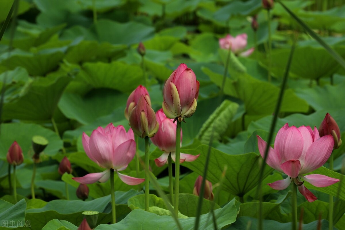 Travel Notes (51st Station) - Tieling (Day 1) - iNEWS