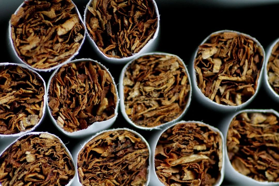 Legislation passed!The world's first "smoke-free country" will be New ...