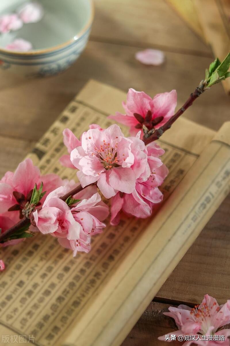 Why is the great general Li Guang called "parachutist"? How did he ...