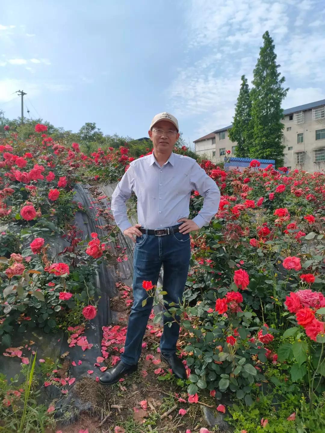 Million Rose Growing Garden - iNEWS