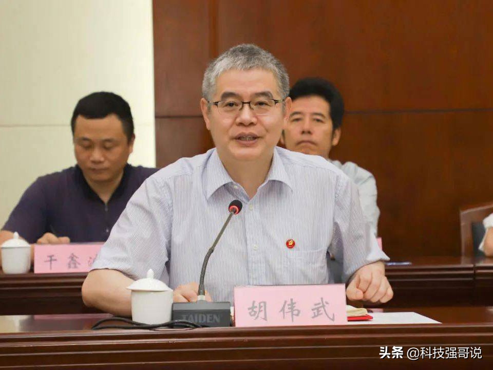 Run forward!Three domestic chips break the ice, Wei Shaojun: high-end ...