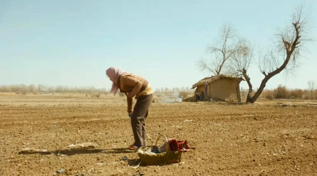 The behind-the-scenes story you don't know about "Hidden in the Dust ...