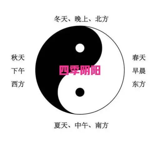 How does the body of traditional Chinese medicine divide yin and yang ...