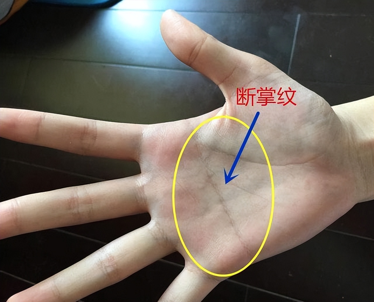 As the saying goes: "If you break a palm and make a line, you will not ...