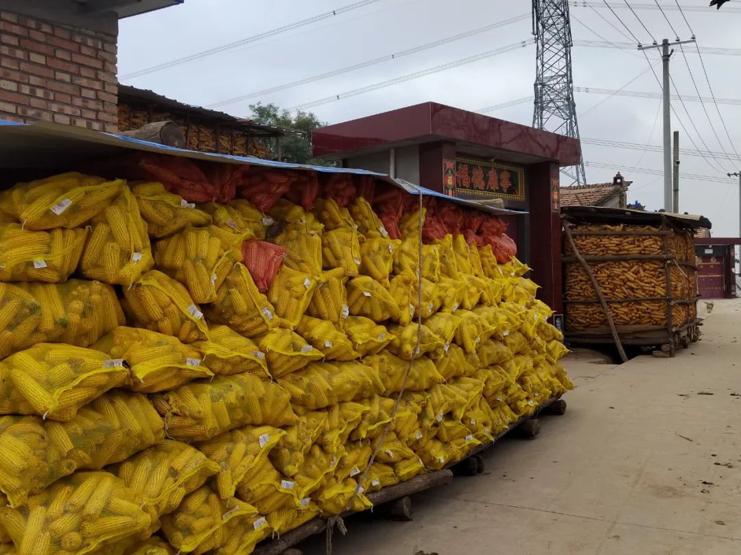 How is the development of the poor villages in the past? - iNEWS