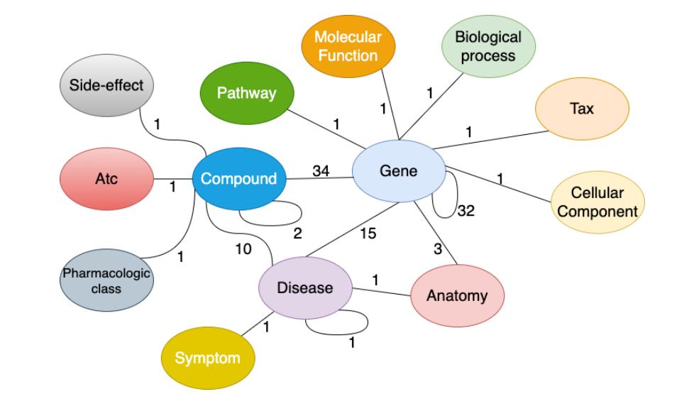 Programming Guide: Graph Neural Networks in Life Sciences - iMedia