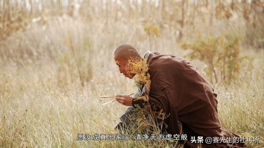 This is the real monk, comment on the movie "The Ancient Road is Cool ...