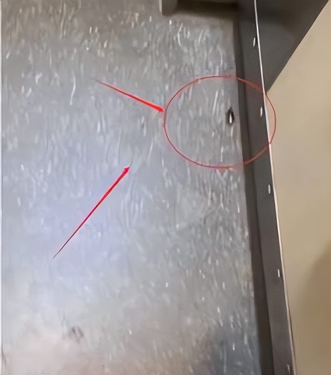Singapore takeaway guy VS cockroach, netizens ridicule "Spiderman" or ...