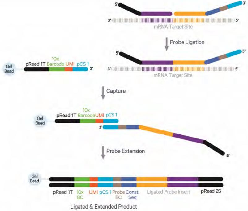Speak with evidence—the measured FFPE samples are very useful for ...