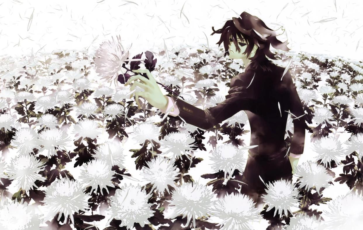 What are some good-looking and niche anime? Refuse to follow the trend ...