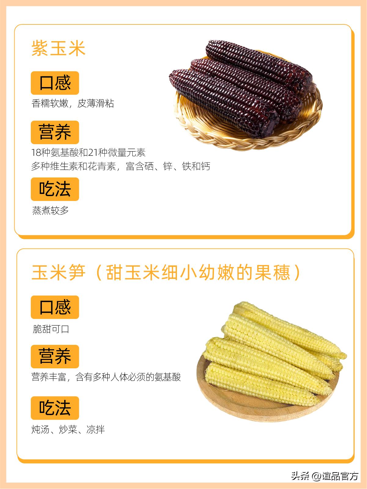 Common types and characteristics of corn - iMedia