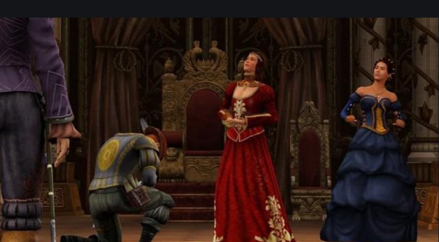 What are the characteristics of the fief system in Western Europe in ...