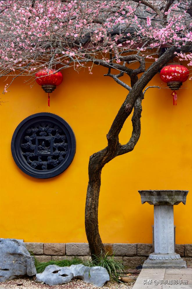 Do you think it's worth traveling 1,200 kilometers just to photograph a ...