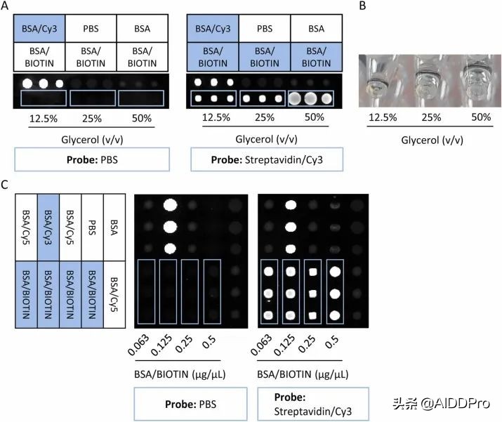 Chip-DSF: a rapid screening strategy for drug protein targets - iNEWS