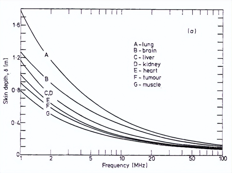 RF Magnetic Field Penetration, Phase Shift and Power Dissipation in ...