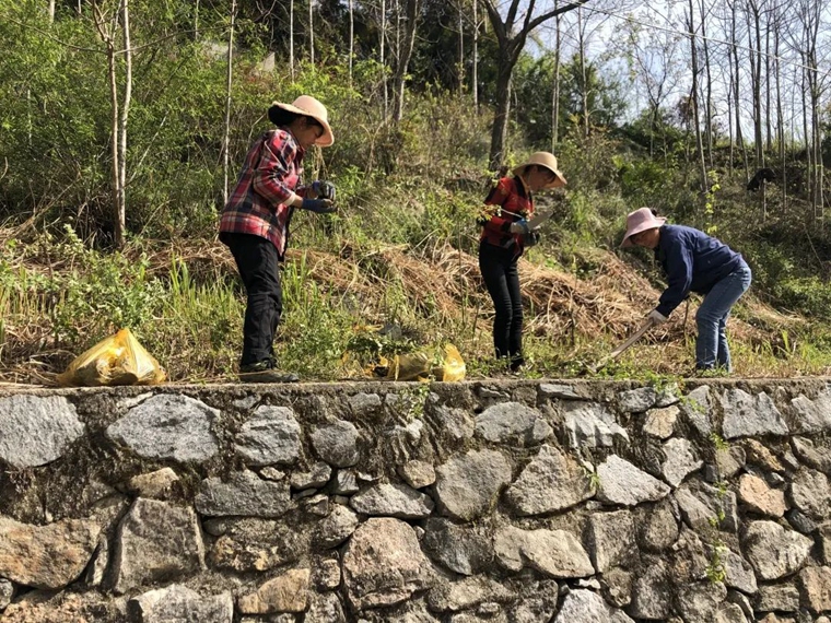 The new sceneries are full of pictures, and the "appearance" of Shaba ...