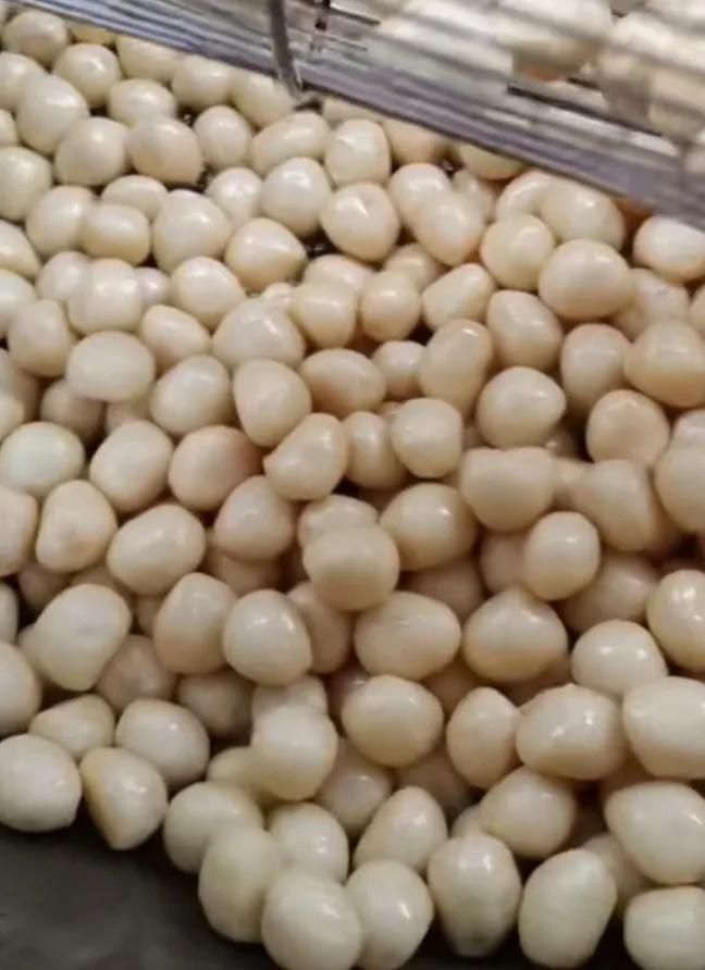 Local specialties: Luoding wrinkled fish tofu - iNEWS