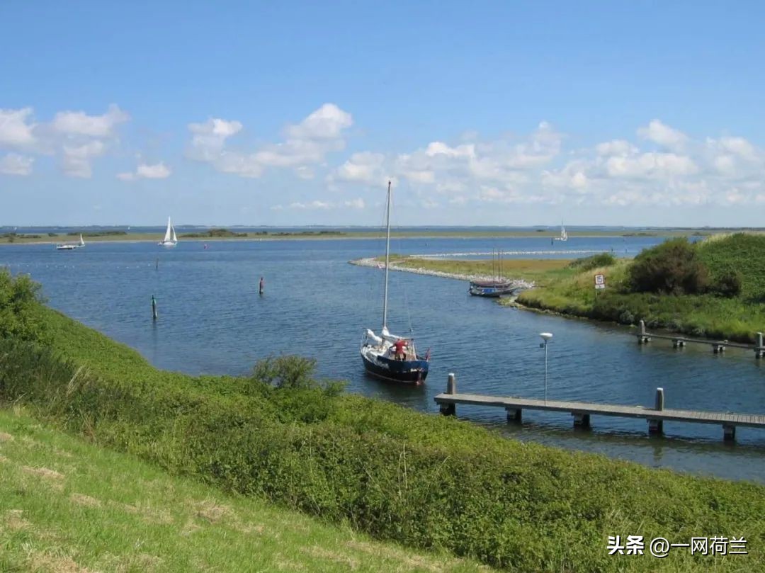 Disaster year for Dutch oysters, industry calls for government support ...