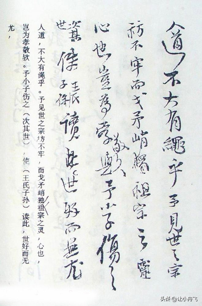 Wang Duo's book "Wang's Family Tree" - iMedia