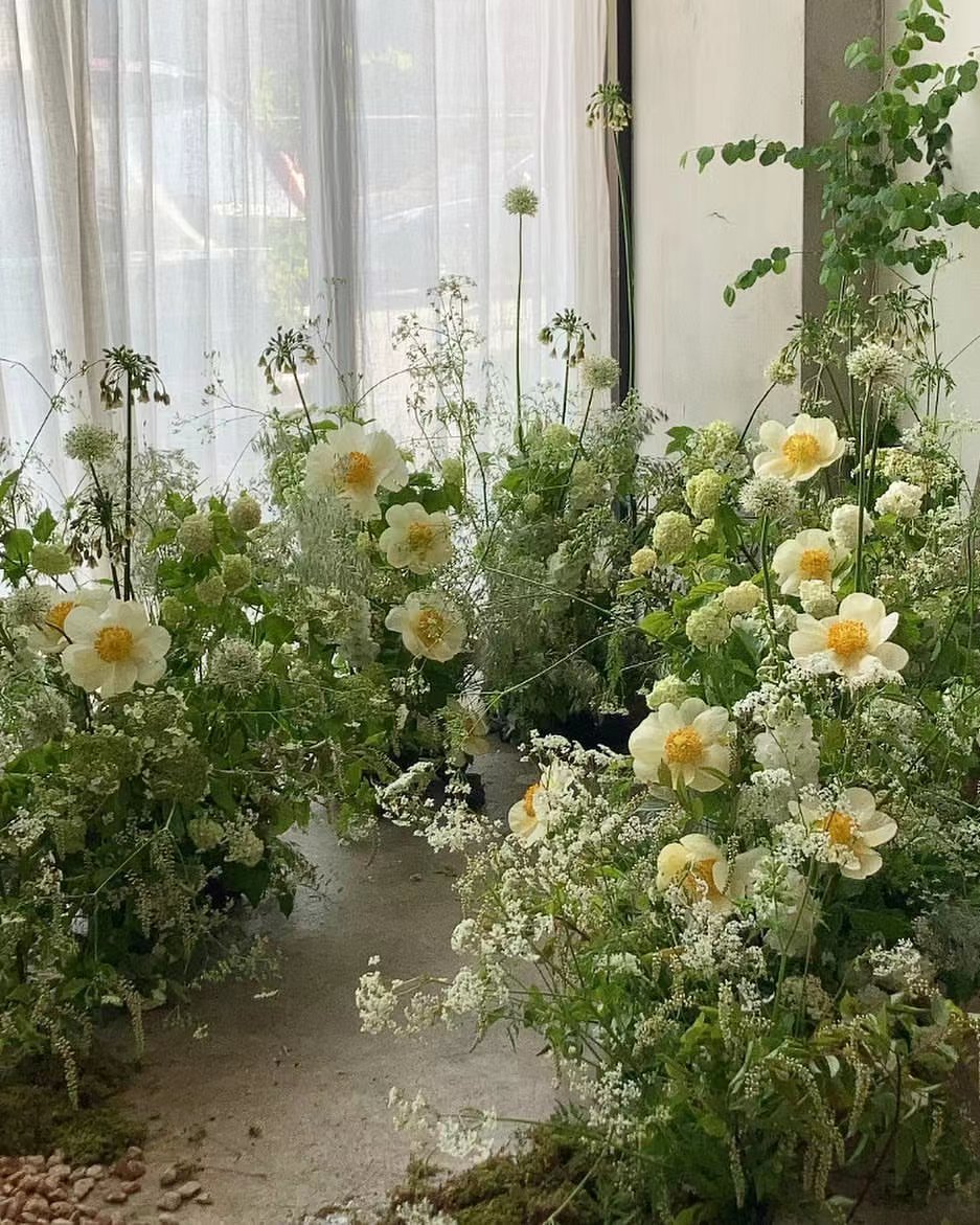 Sparse wild flower art style, deliberately we can never guess the ...