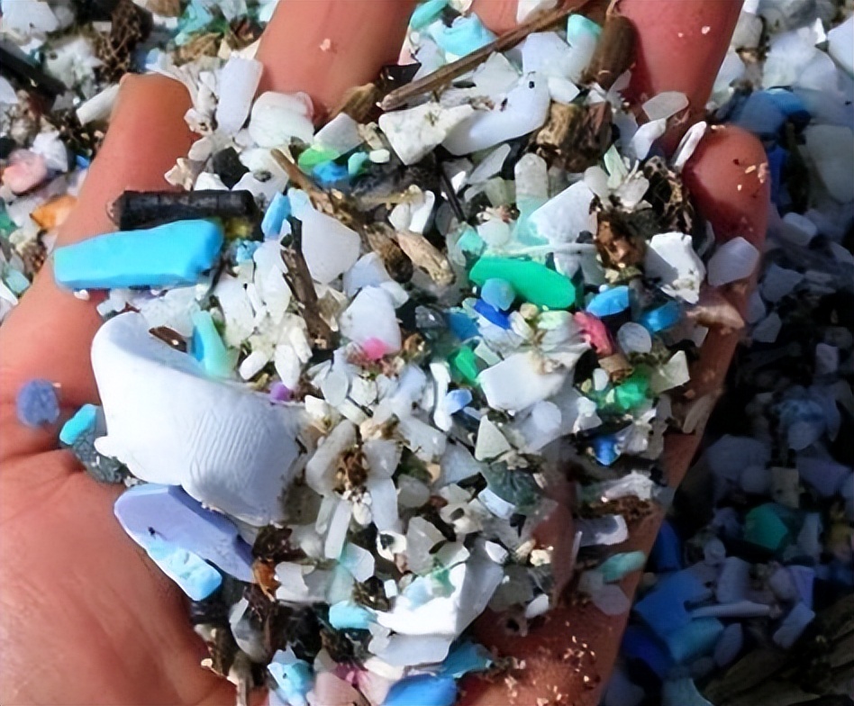 Effects of common types of microplastics on soil microbial communities ...