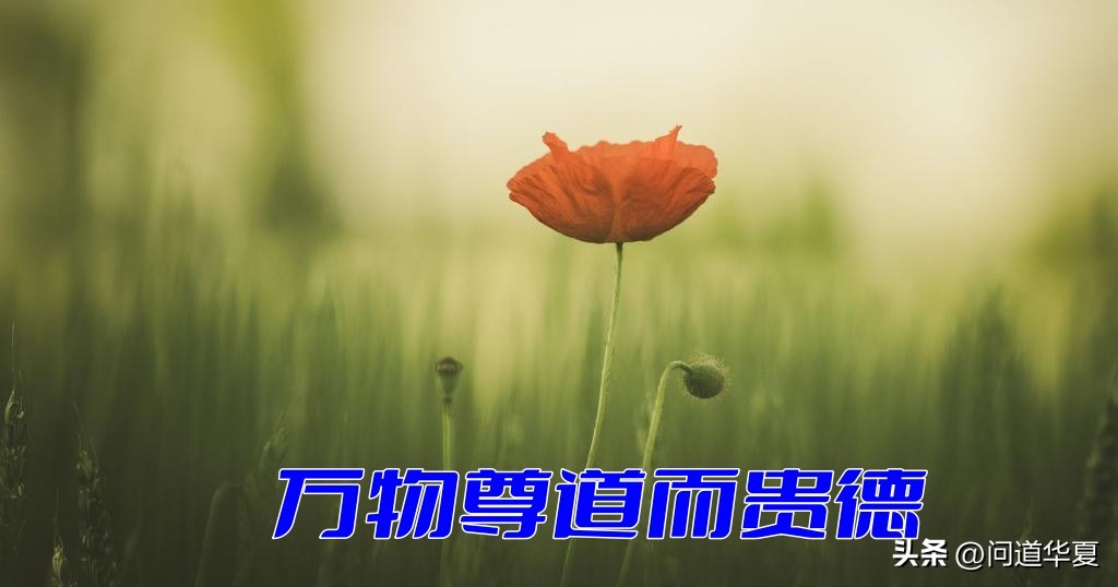 Chapter 51 of "Tao Te Ching" through time travel: The text used by Tang ...