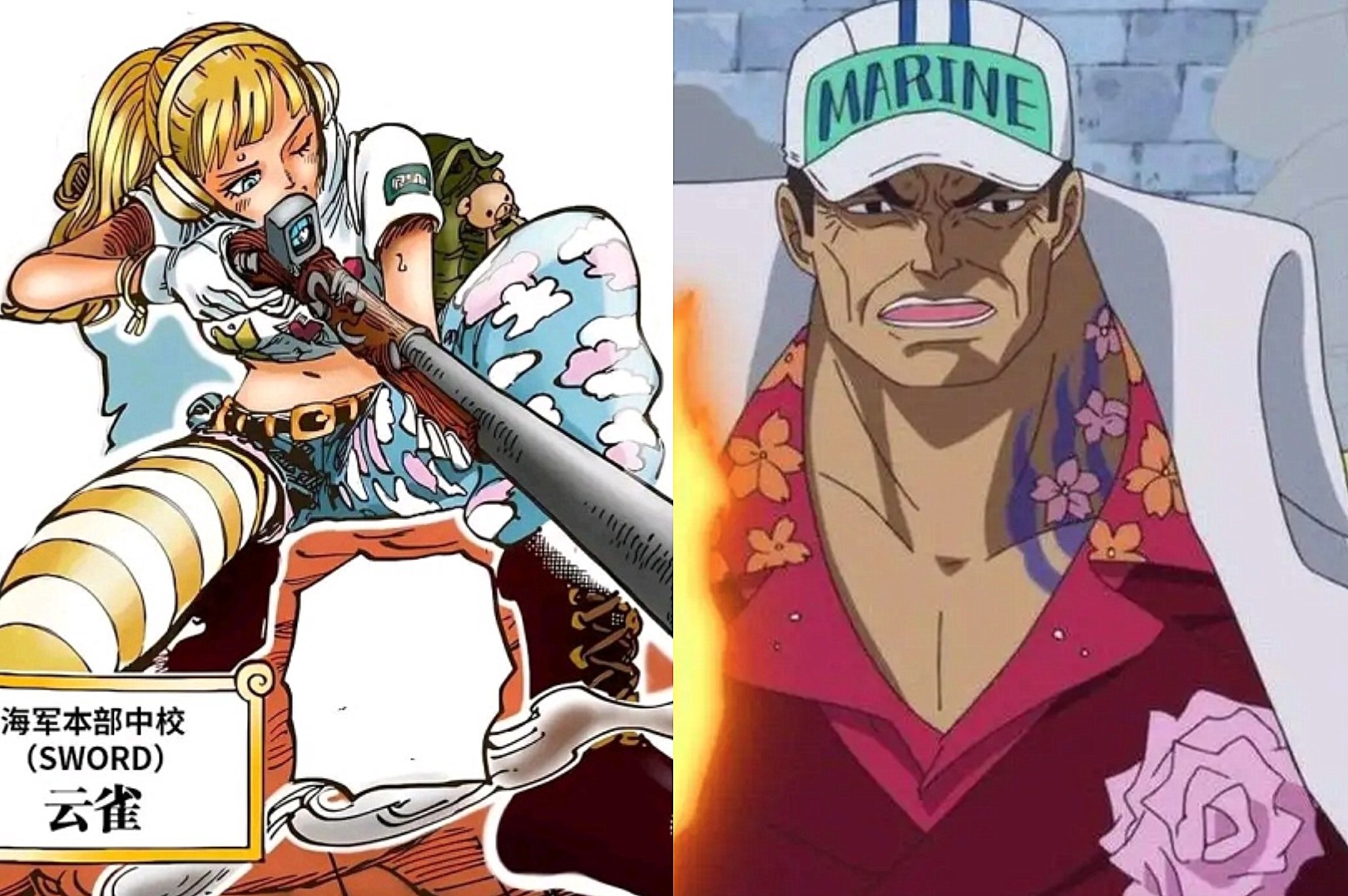 One Piece: It turns out that Skylark is the daughter of Akainu. No ...