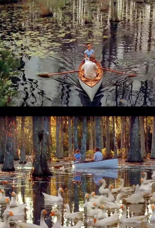 The movie "The Notebook" - iMedia