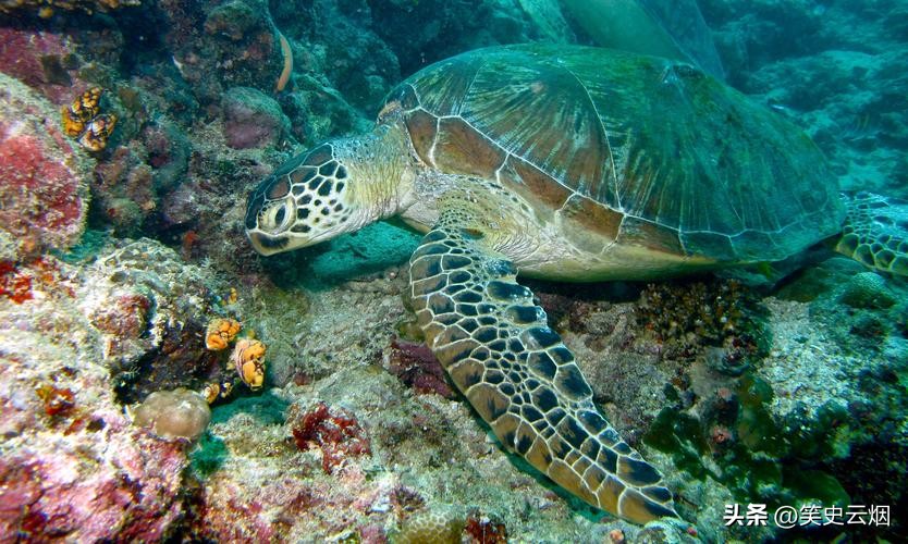 Explore the ancient Mayan and Aztec exchanges about the use of sea ...