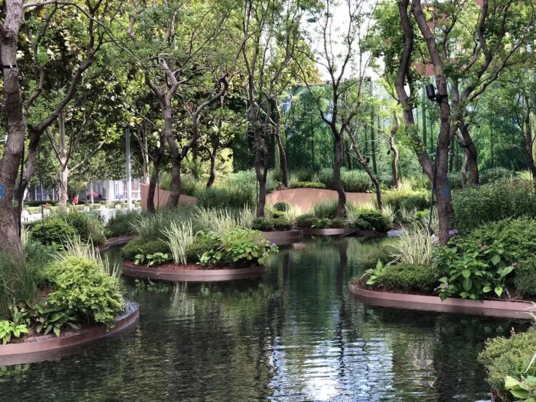 flower border landscape design - iMedia