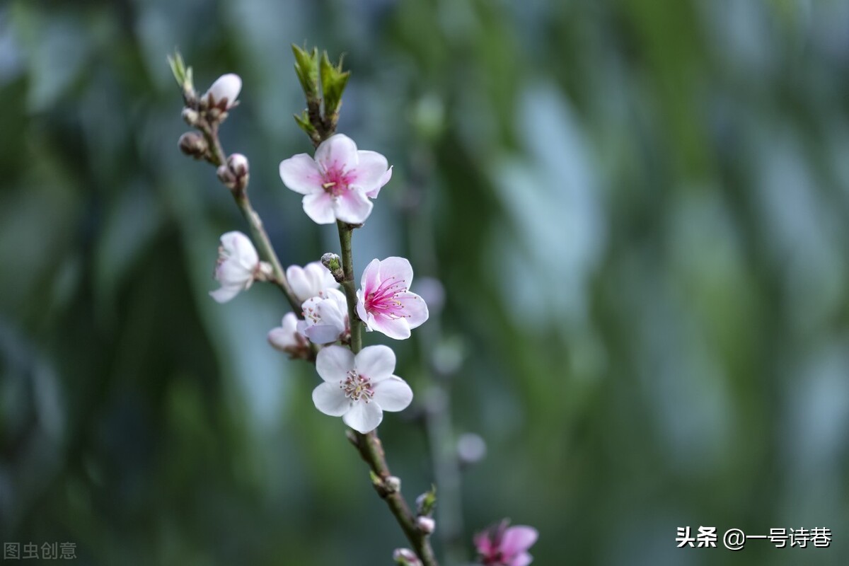 To write a poem, we need to find a new angle. This poem by Huang ...