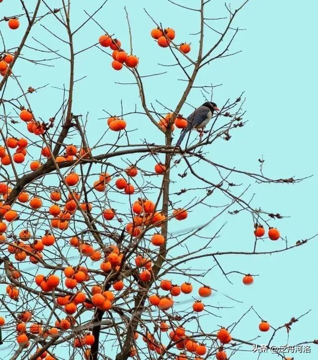 sweet dreams linger - iNEWS