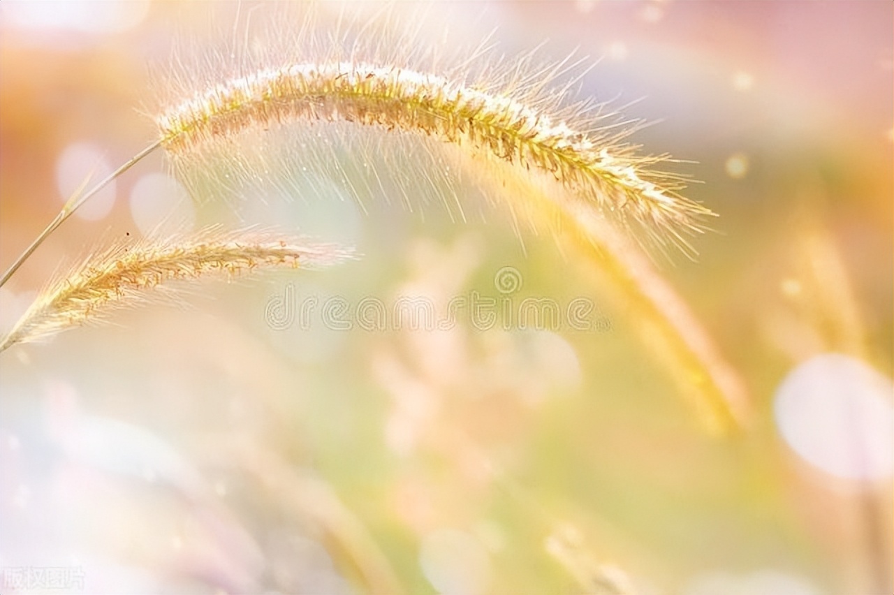 Twisting a handful of poetry, carrying an ancient rhyme - iMedia