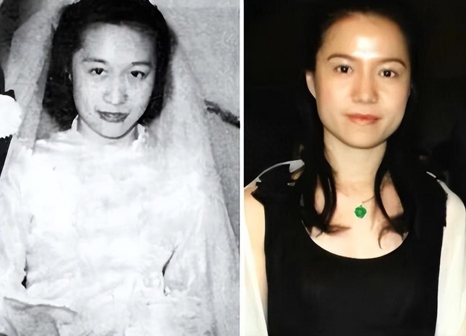 Yang Zhenning publicly stated: Weng Fan can remarry after his death, do ...