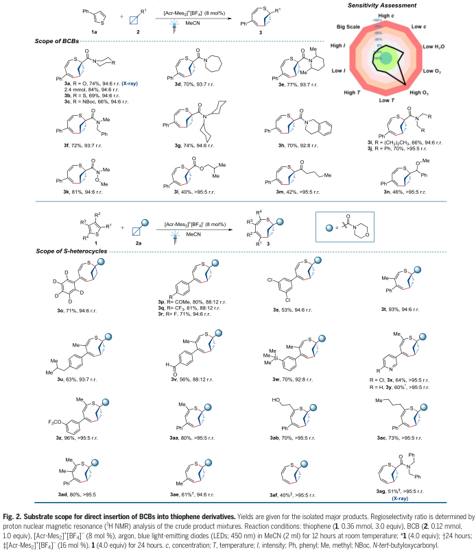 Dearomatization Ring Expansion of Dibutane Insertion into Thiophene - iNEWS
