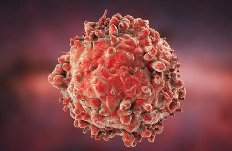 What happens to the body if it is discovered that "cancer" is not ...