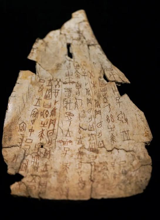 A Brief Discussion on the Significance and Course of Oracle's ...