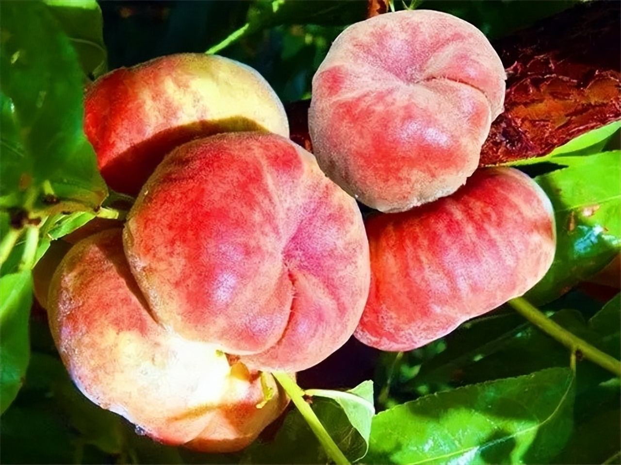 There is a bloody secret hidden in Journey to the West. Taoism depends ...