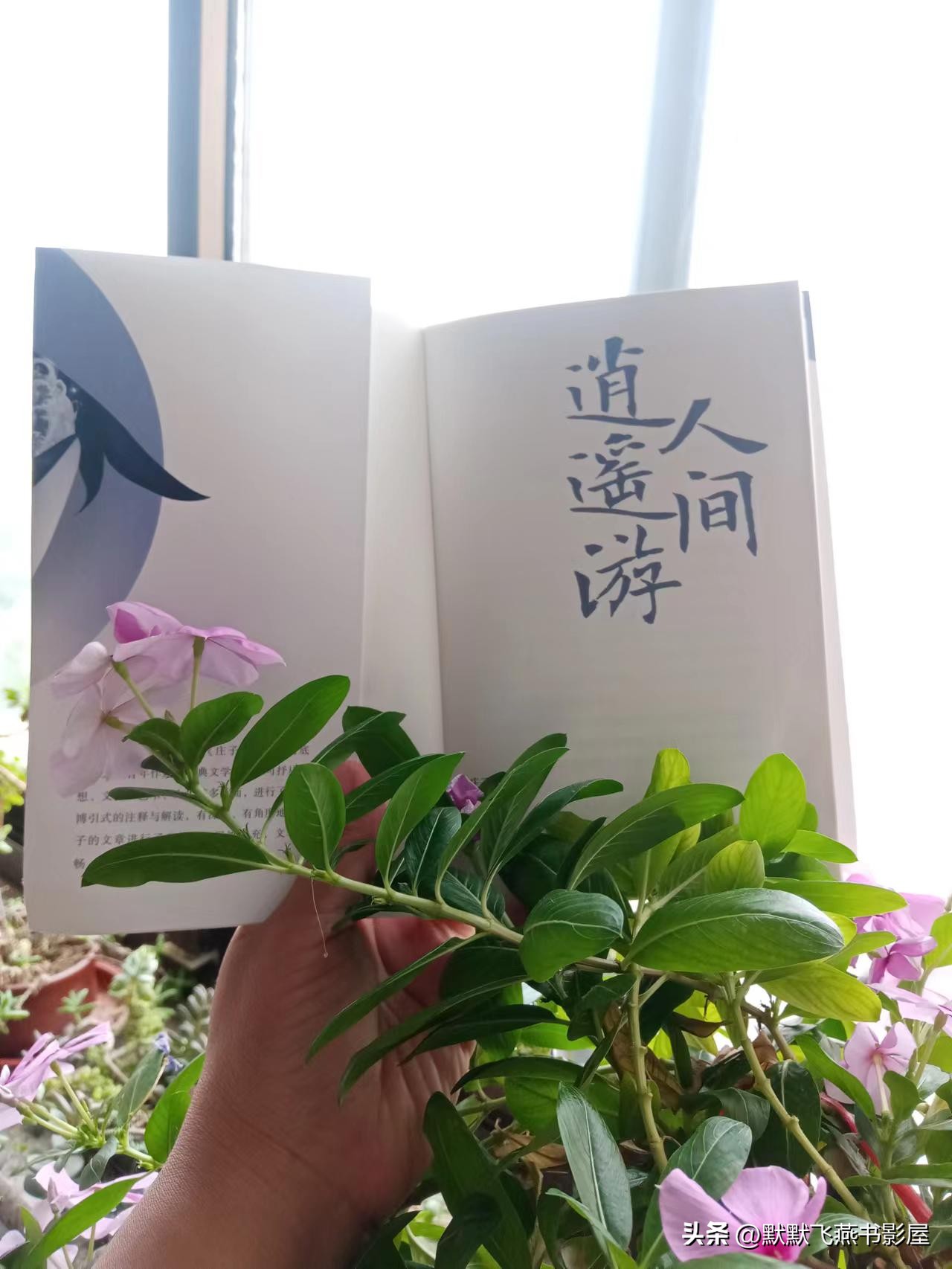 The Life Wisdom of "Zhuangzi" from "Easy Journey in the World" - iNEWS