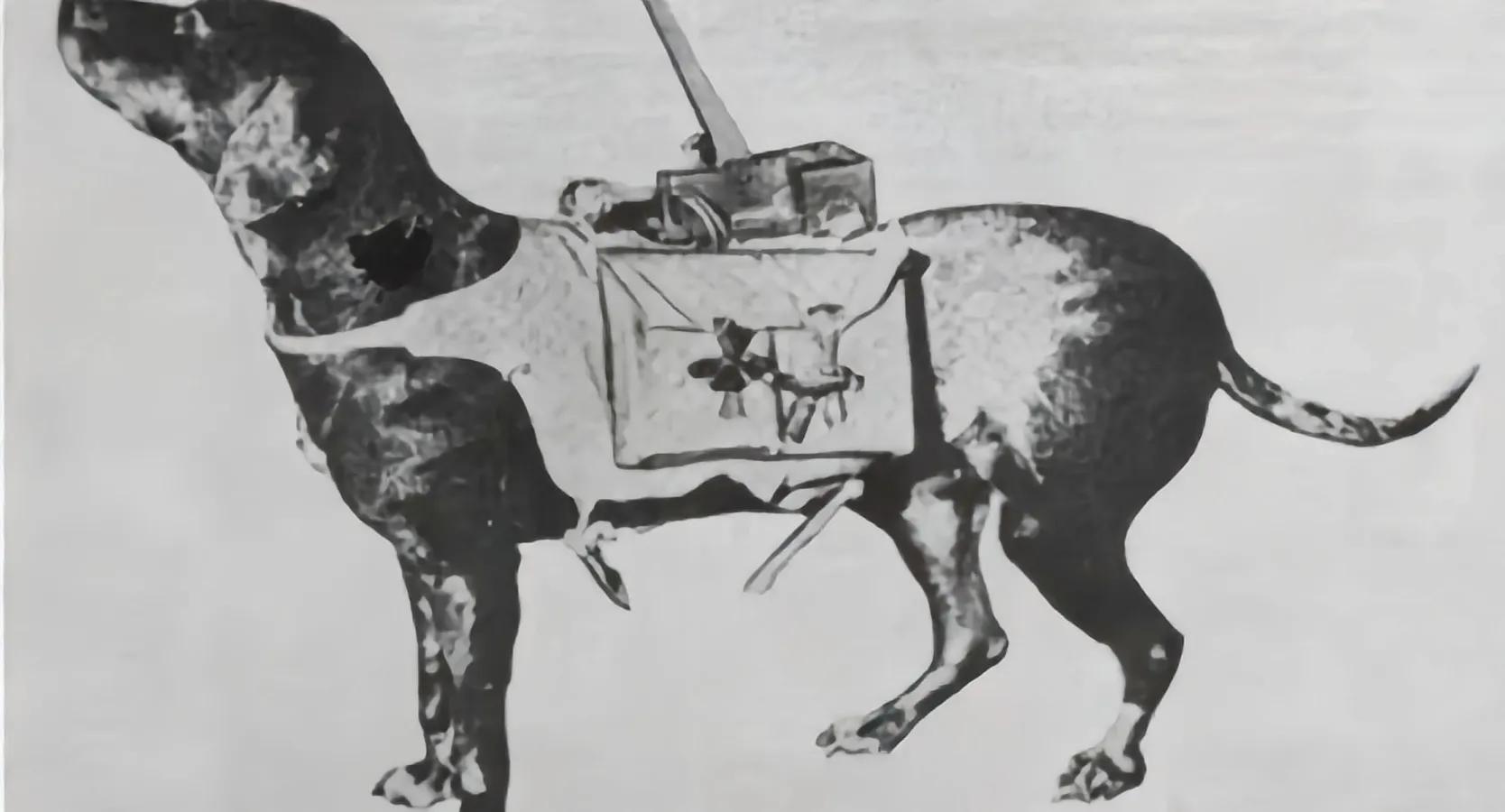 The Soviet Army used dogs to blow up tanks-too cruel - iNEWS