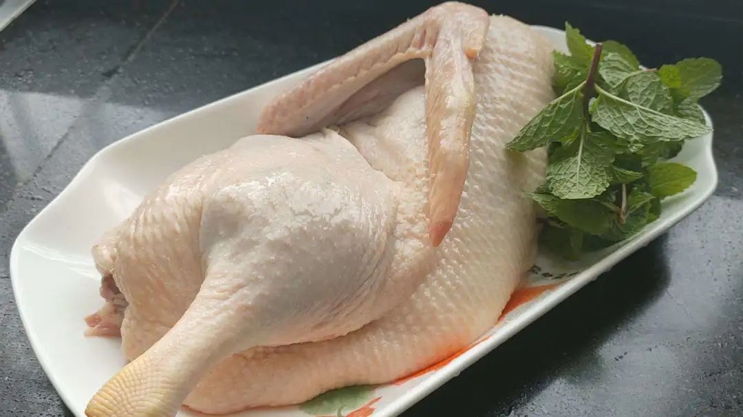 How to Identify Tealing Ducks - iNEWS