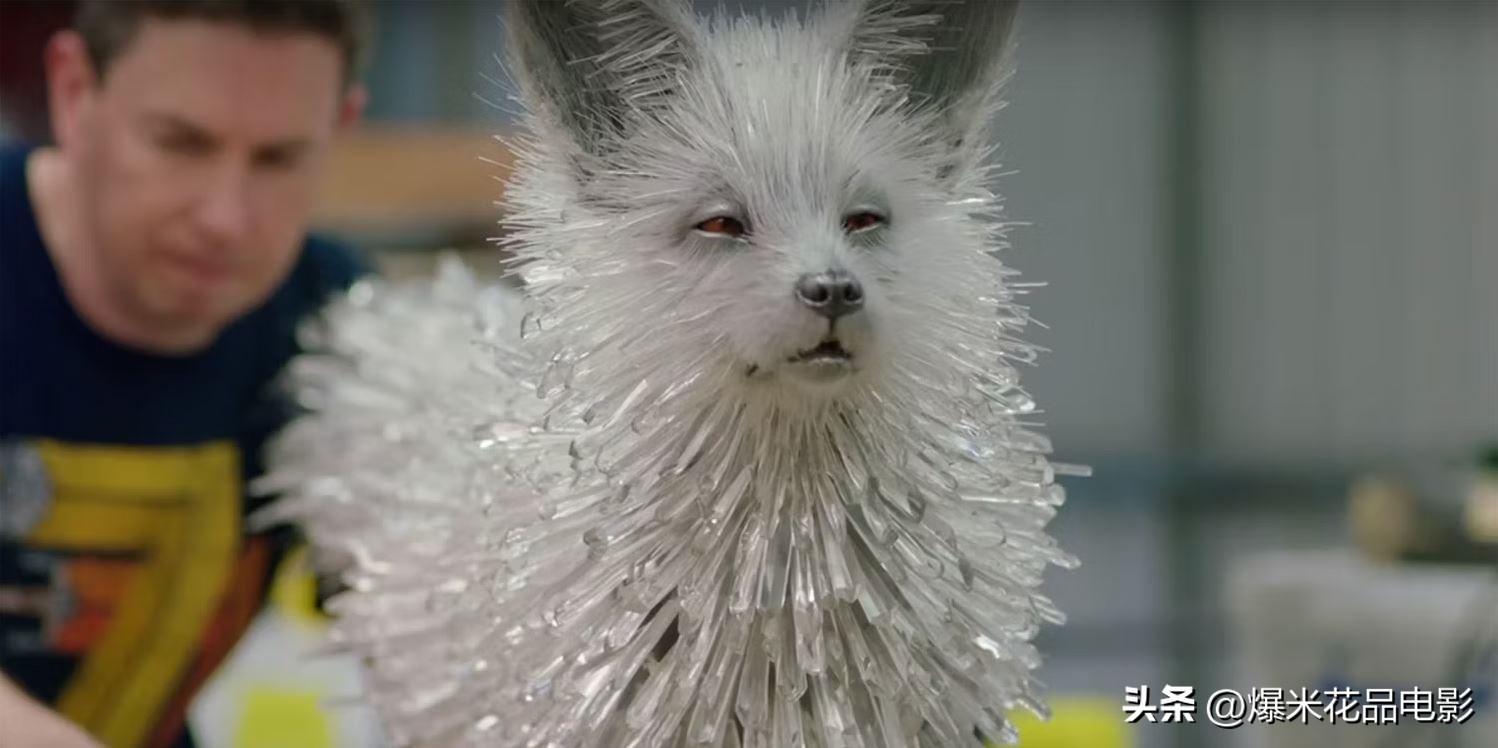 The 12 Cutest Creatures in the Star Wars Universe - iNEWS