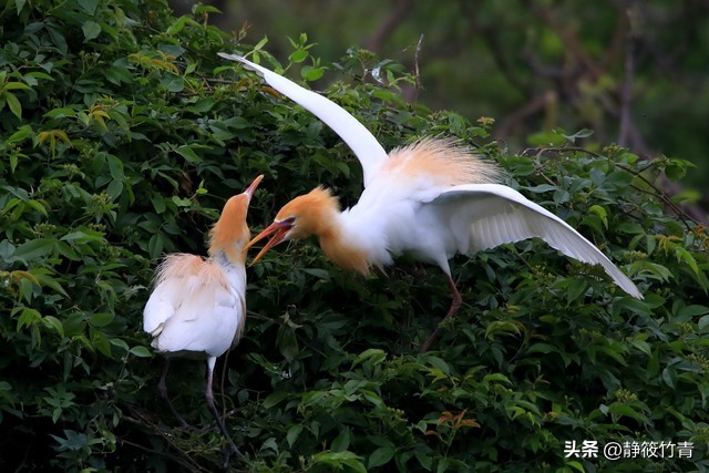 Our Decade Story - iNEWS