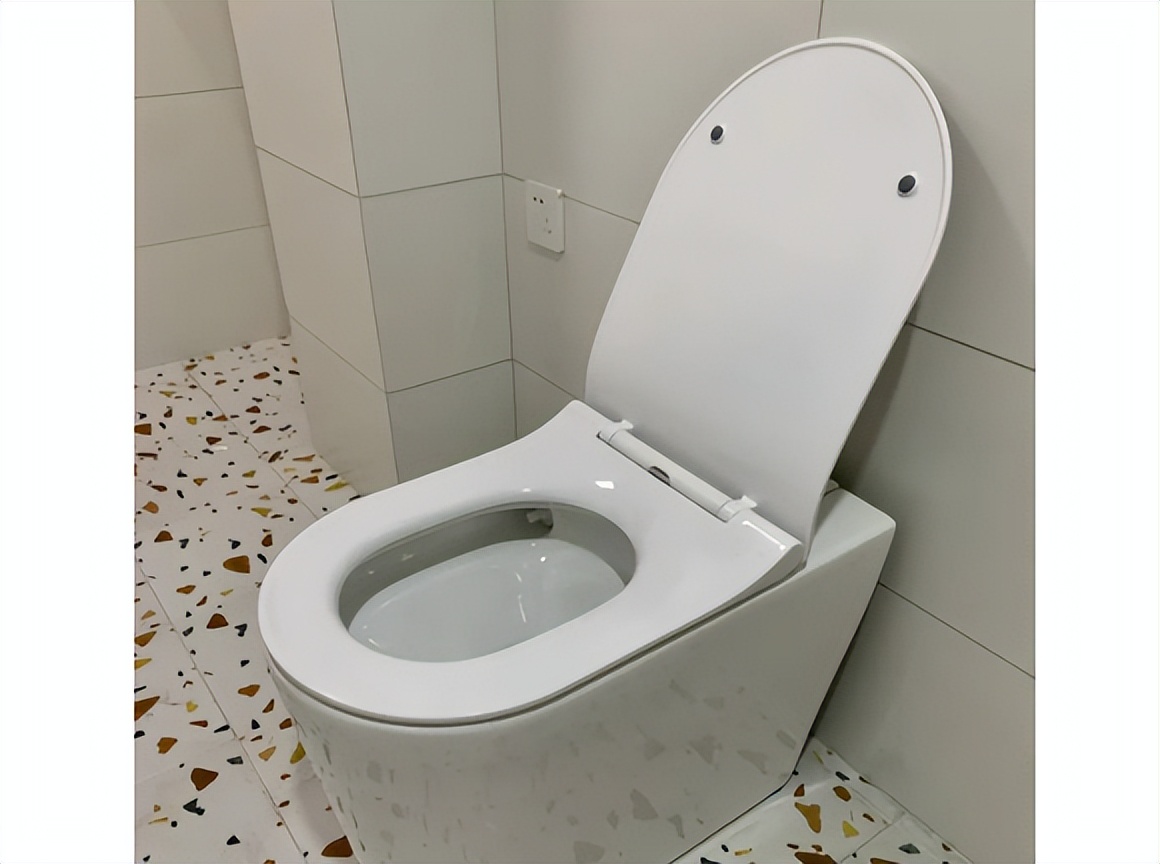 From ancient times to the present: the development and evolution of the ...