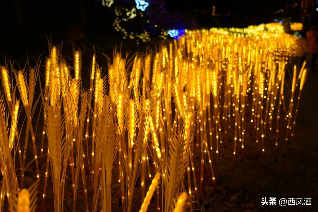 Xifeng wine city is full of tourists like weaving spring at night - iNEWS